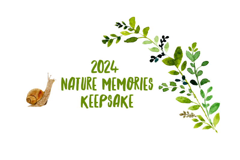 Create Your 2024 Nature Year Keepsake - FREE PRINTABLE! – Wilder Child