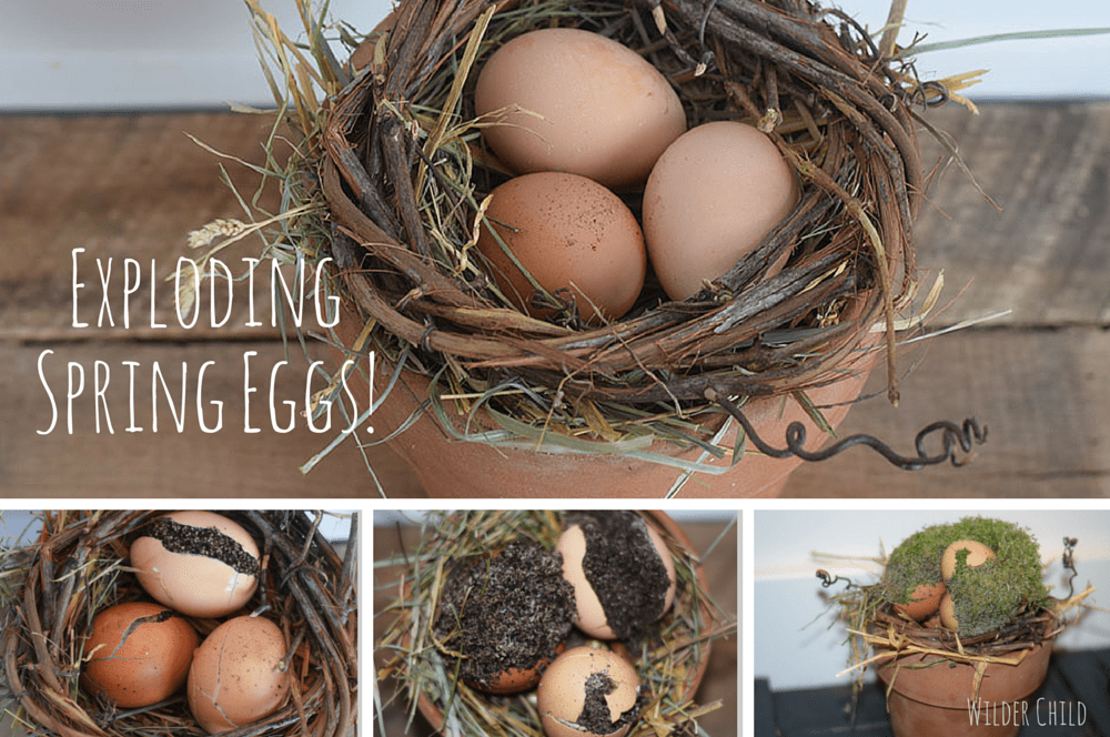 How to Make Exploding Spring Eggs – Wilder Child