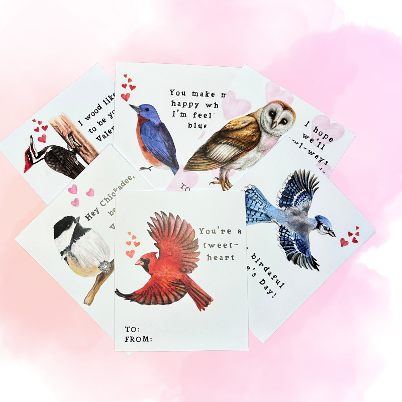 Bird Valentines – Wilder Child